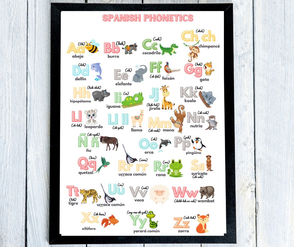 SPANISH Education Posters ALPHABET Poster 2 Designs Educational ...