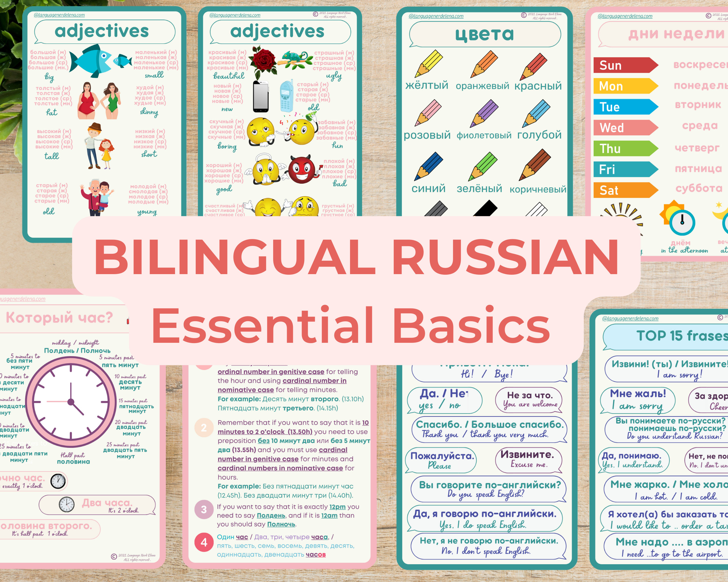RUSSIAN BASICS OVERVIEW Bundle A5 Flashcards Russian Essentials ...