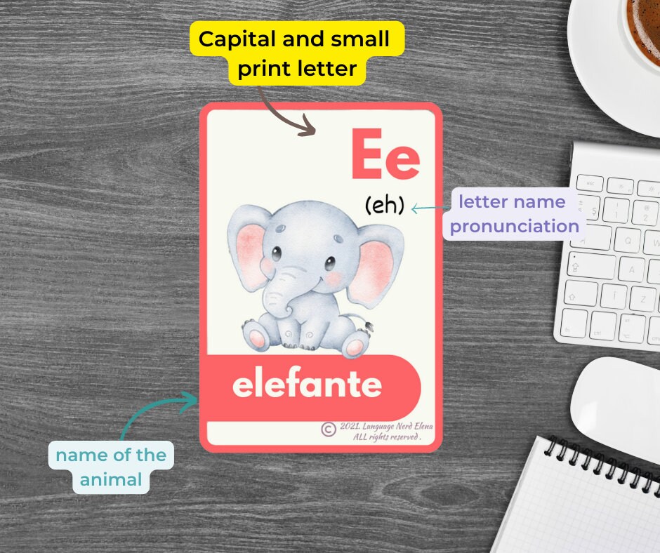 SPANISH ALPHABET Flashcards With Watercolour Animals Educational ...