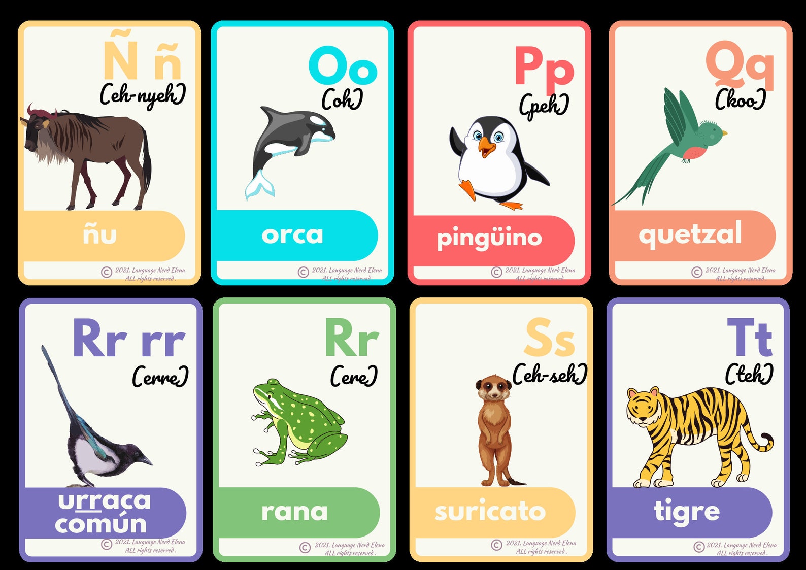 SPANISH ALPHABET Flashcards Educational Printable Flashcards - Etsy