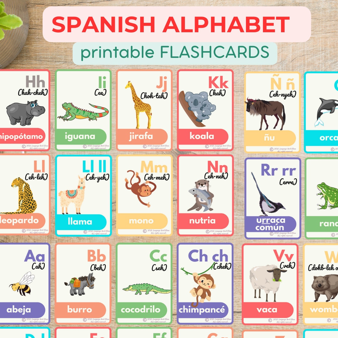Learn SPANISH ALPHABET Flashcards Spanish English Pdf Educational ...