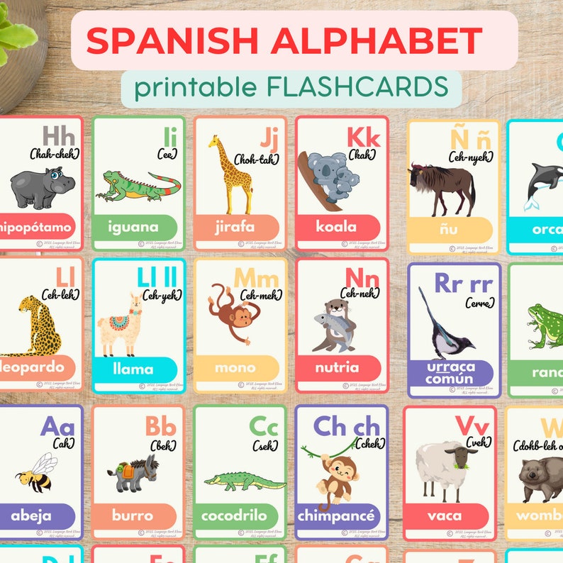 Learn SPANISH ALPHABET Flashcards Spanish English Pdf Educational ...