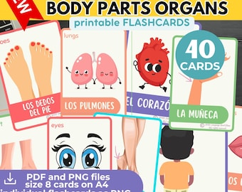 Spanish Body Parts Flashcards - Etsy