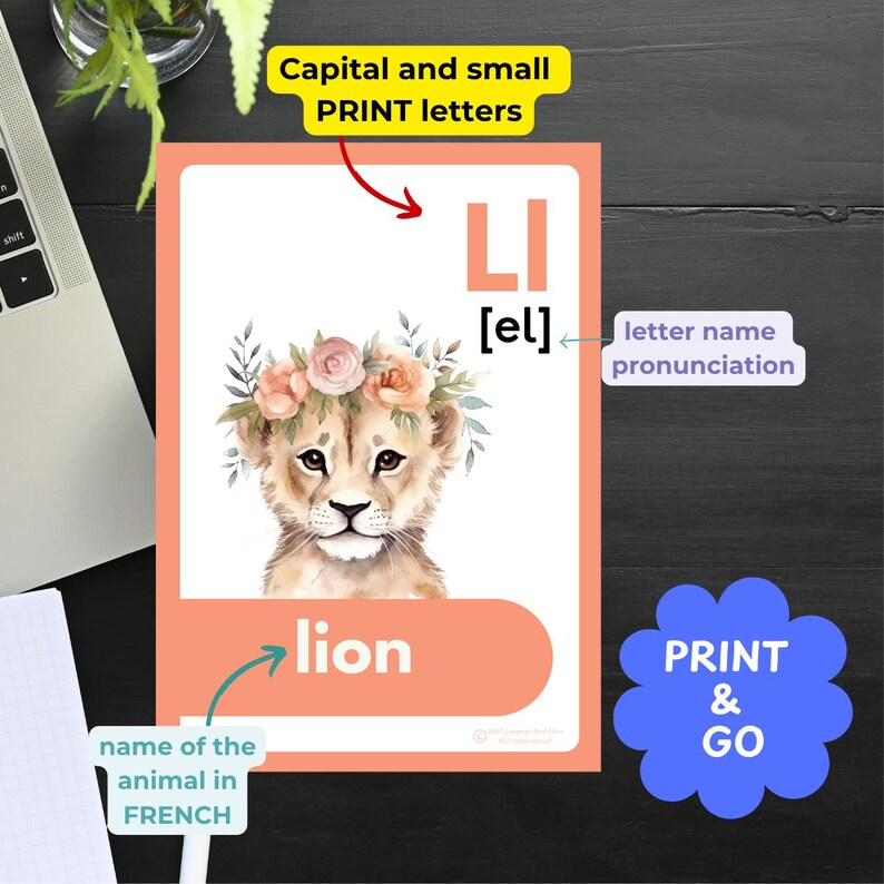 French Alphabet Poster: Pastel Watercolor Classroom Decor (digital ...