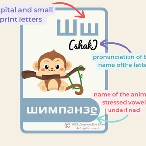 RUSSIAN ALPHABET Flashcards in 2 Colour Designs Russian Alphabet With ...