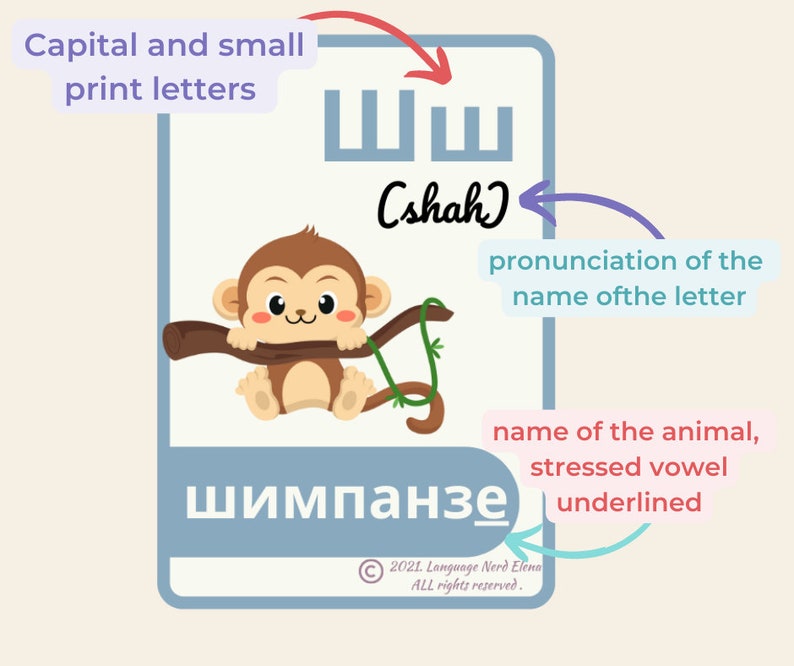 RUSSIAN ALPHABET Flashcards in 2 Colour Designs Russian Alphabet With ...