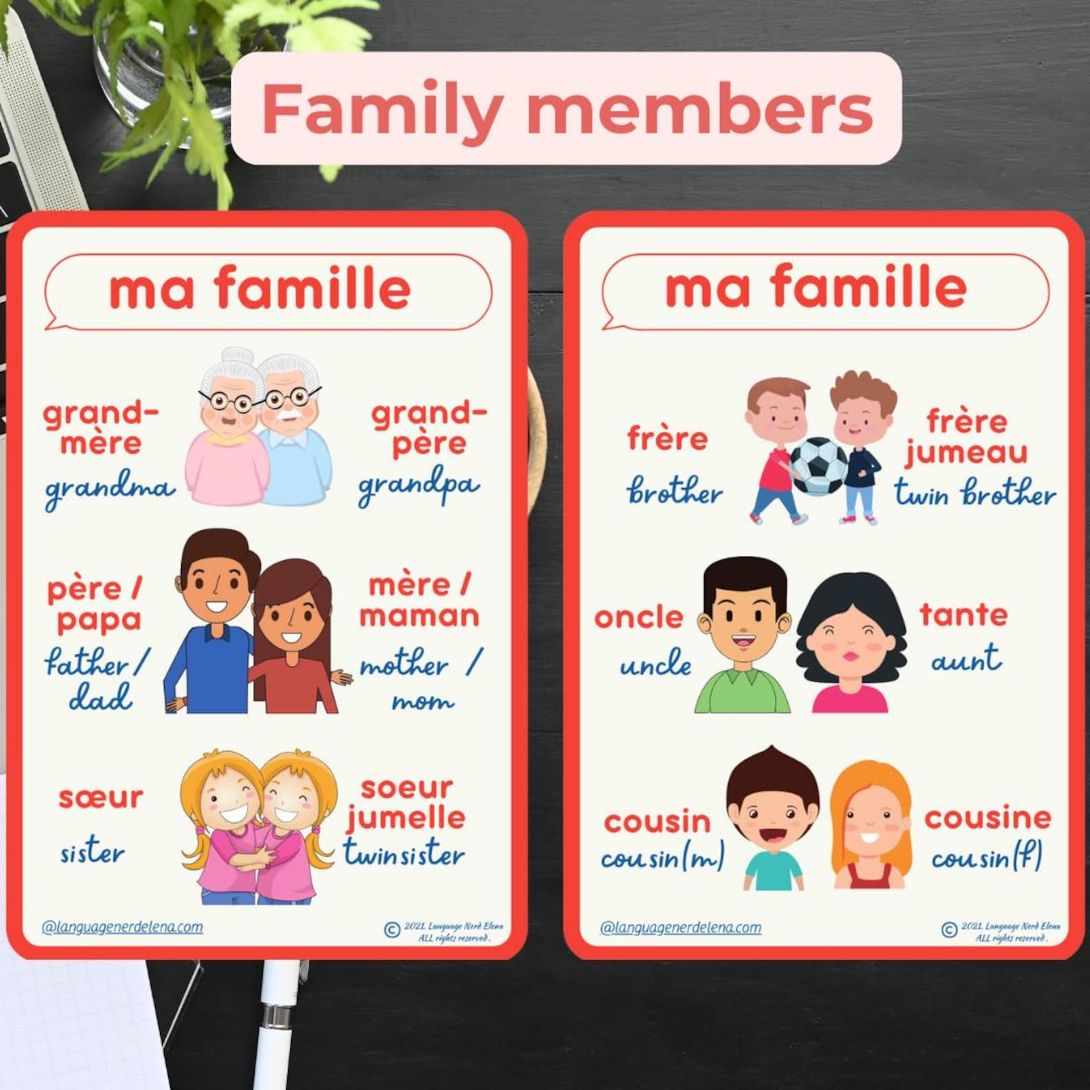 Bilingual FRENCH BASICS BUNDLE Flashcards French Educational Printable ...