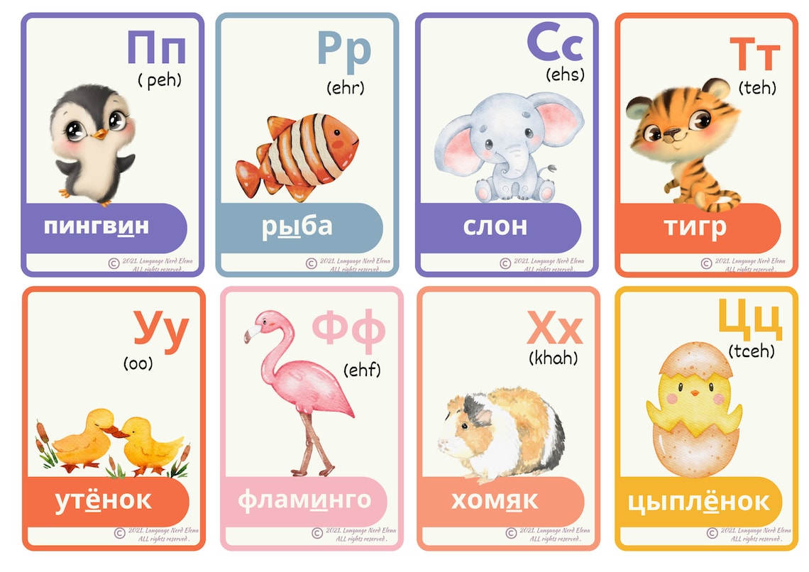 RUSSIAN ALPHABET Flashcards in Watercolour Animals Russian - Etsy