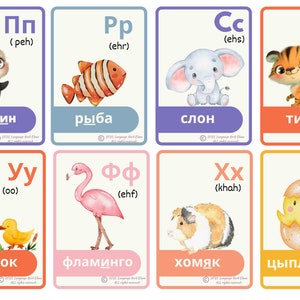 RUSSIAN ALPHABET Flashcards in Watercolour Animals Russian - Etsy