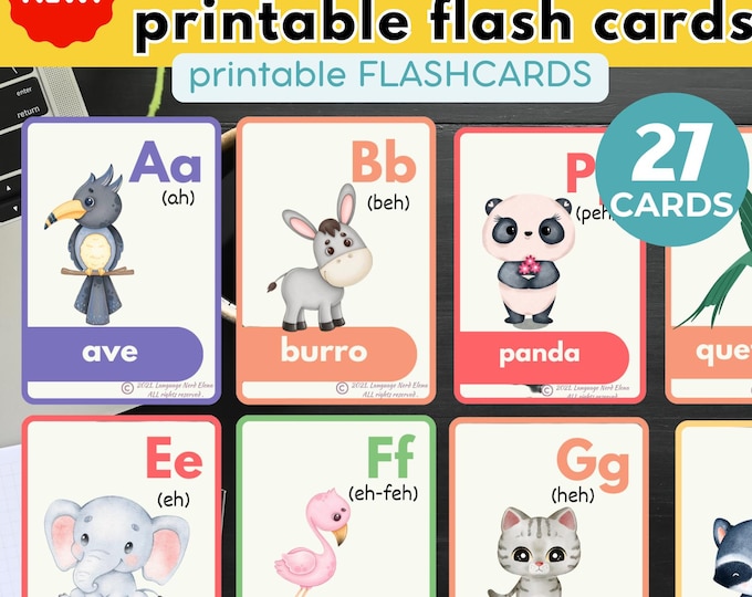 Spanish Alphabet Flashcards & Chart, 27 Cards, 1 Poster, Learn Spanish ...