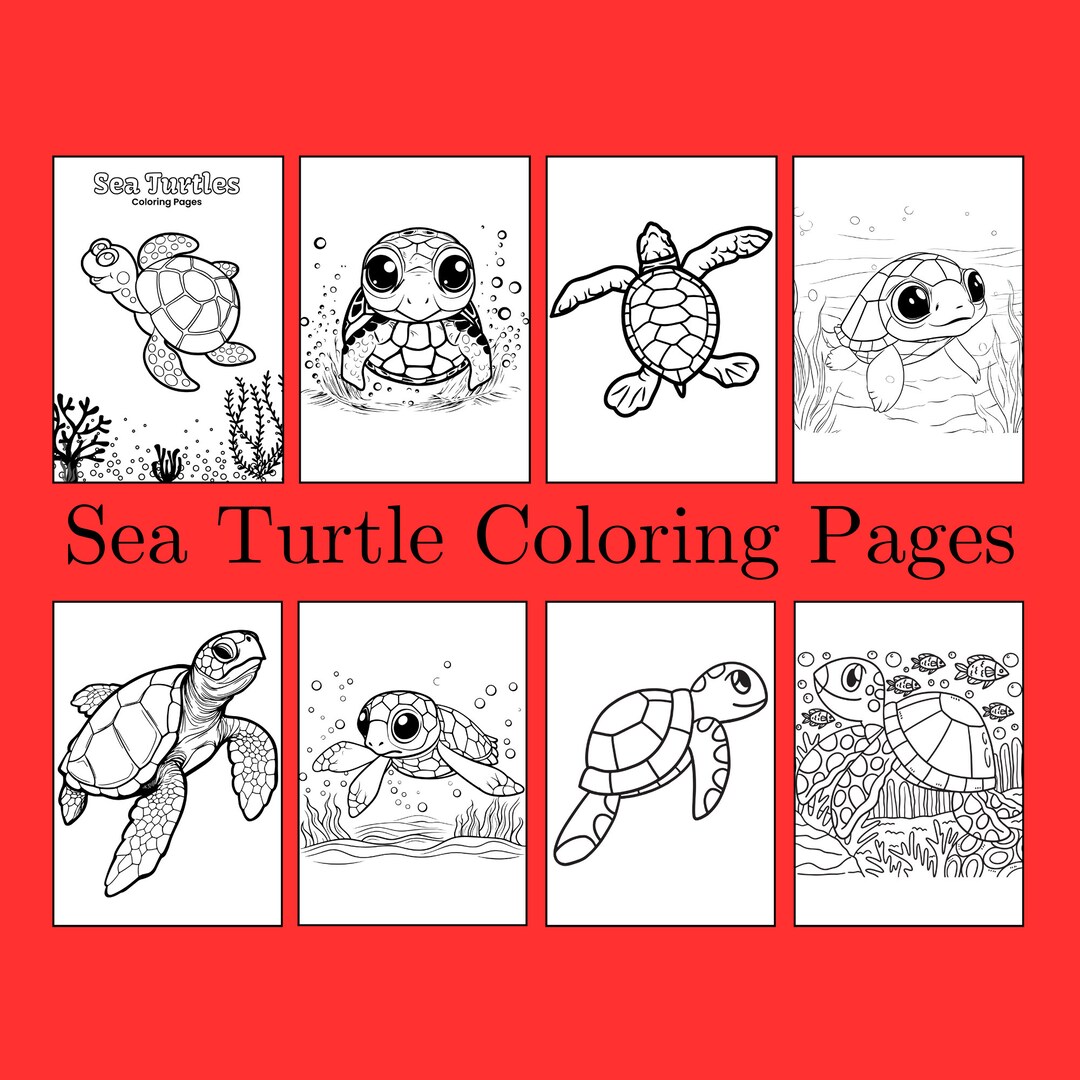 Sea Turtle Coloring Pages: Homeschool Activity (digital Download) - Etsy