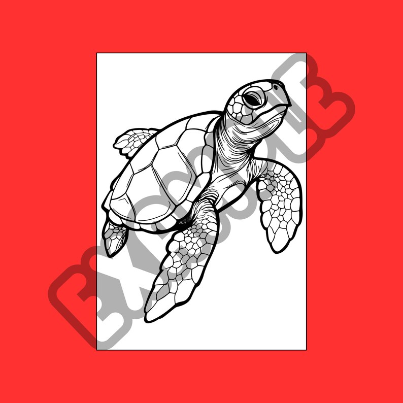 Sea Turtle Coloring Pages, Homeschool Coloring Pages, Preschool ...