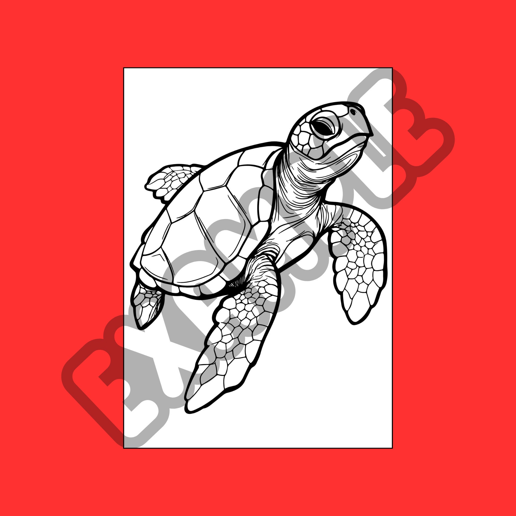 Sea Turtle Coloring Pages: Homeschool Activity (digital Download) - Etsy