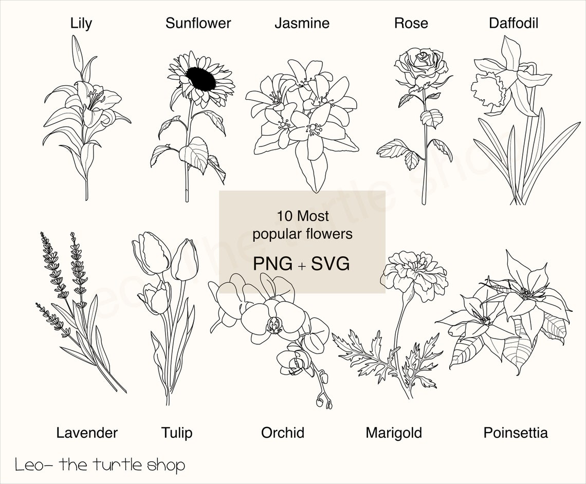 10 Most Popular Plants Bundle - PNG / SVG | Digital Download | Plant ...