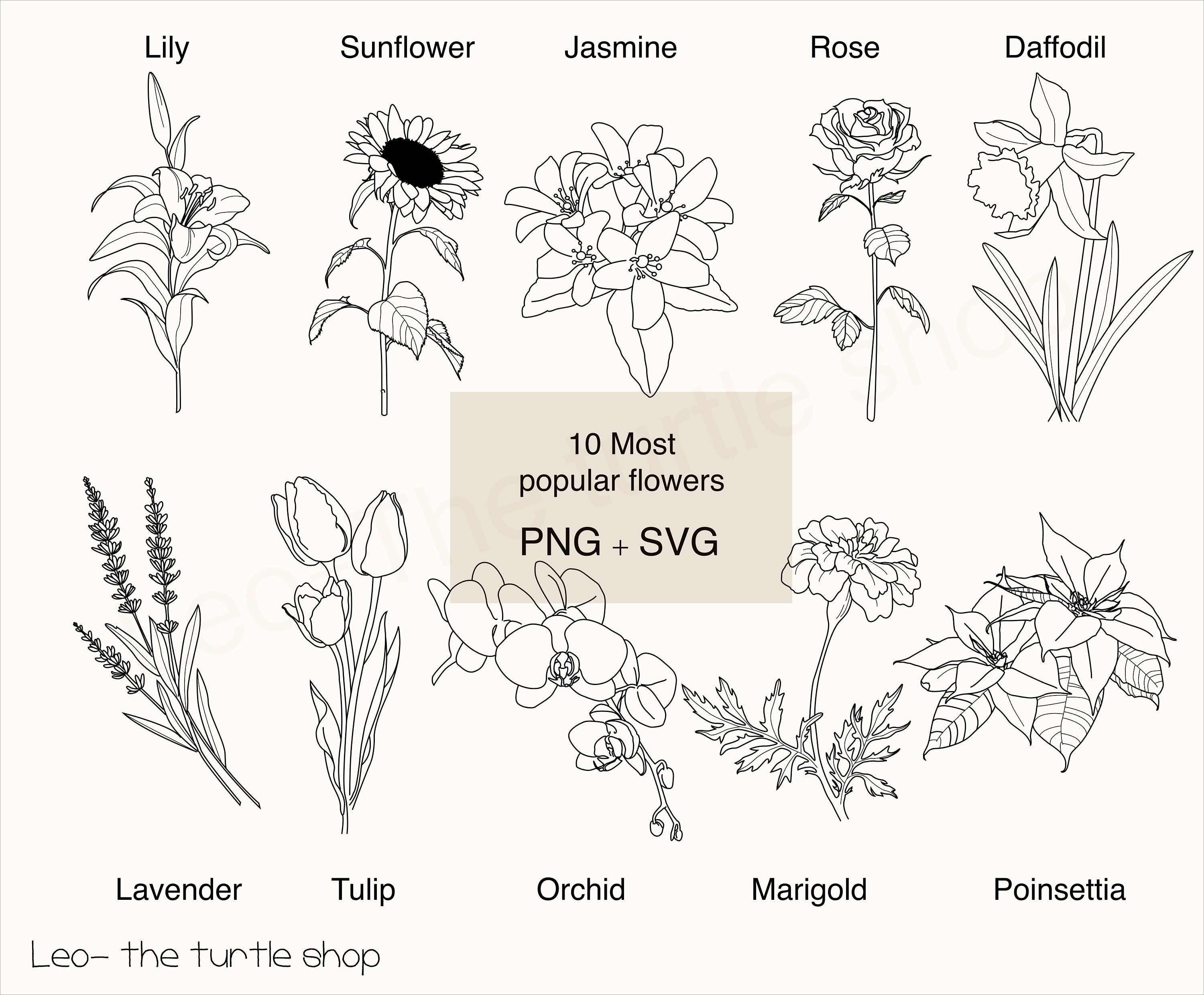 10 Most Popular Plants Bundle - PNG / SVG | Digital Download | Plant ...