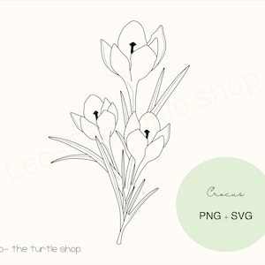 Crocus Flower Lineart PNG / SVG Digital Download Plant Clipart ...