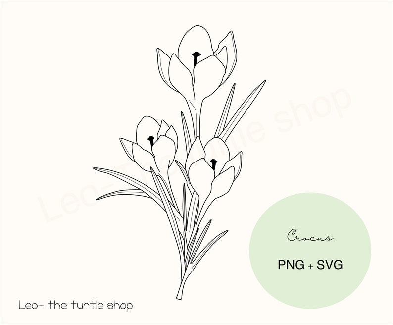 Crocus Flower Lineart PNG / SVG | Digital Download | Plant Clipart ...