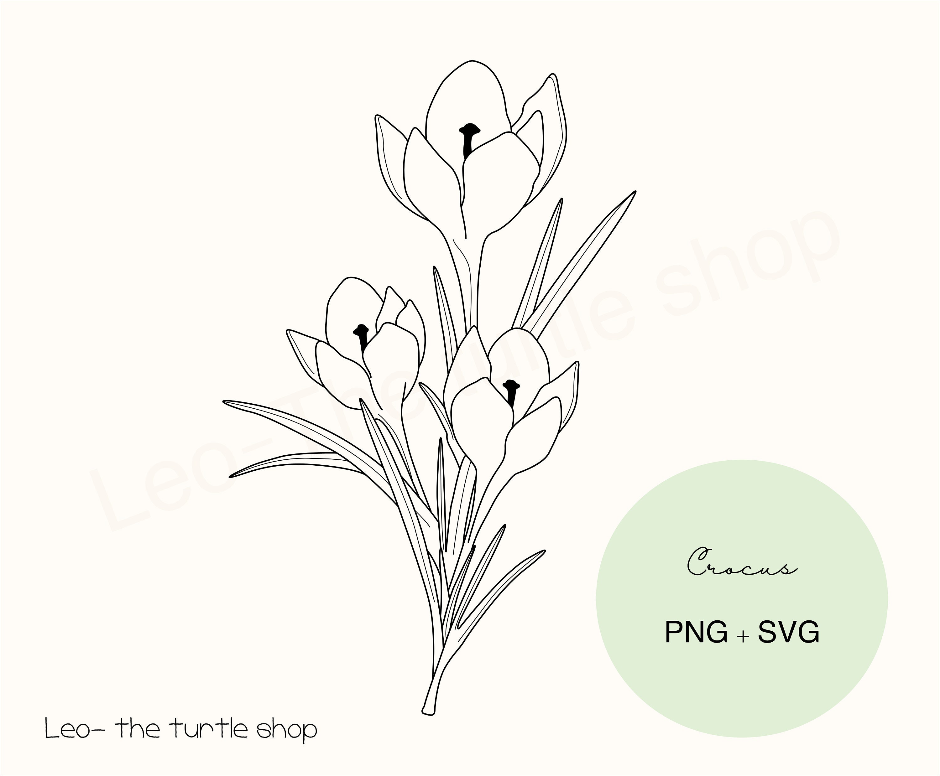 Crocus Flower Lineart PNG / SVG | Digital Download | Plant Clipart ...