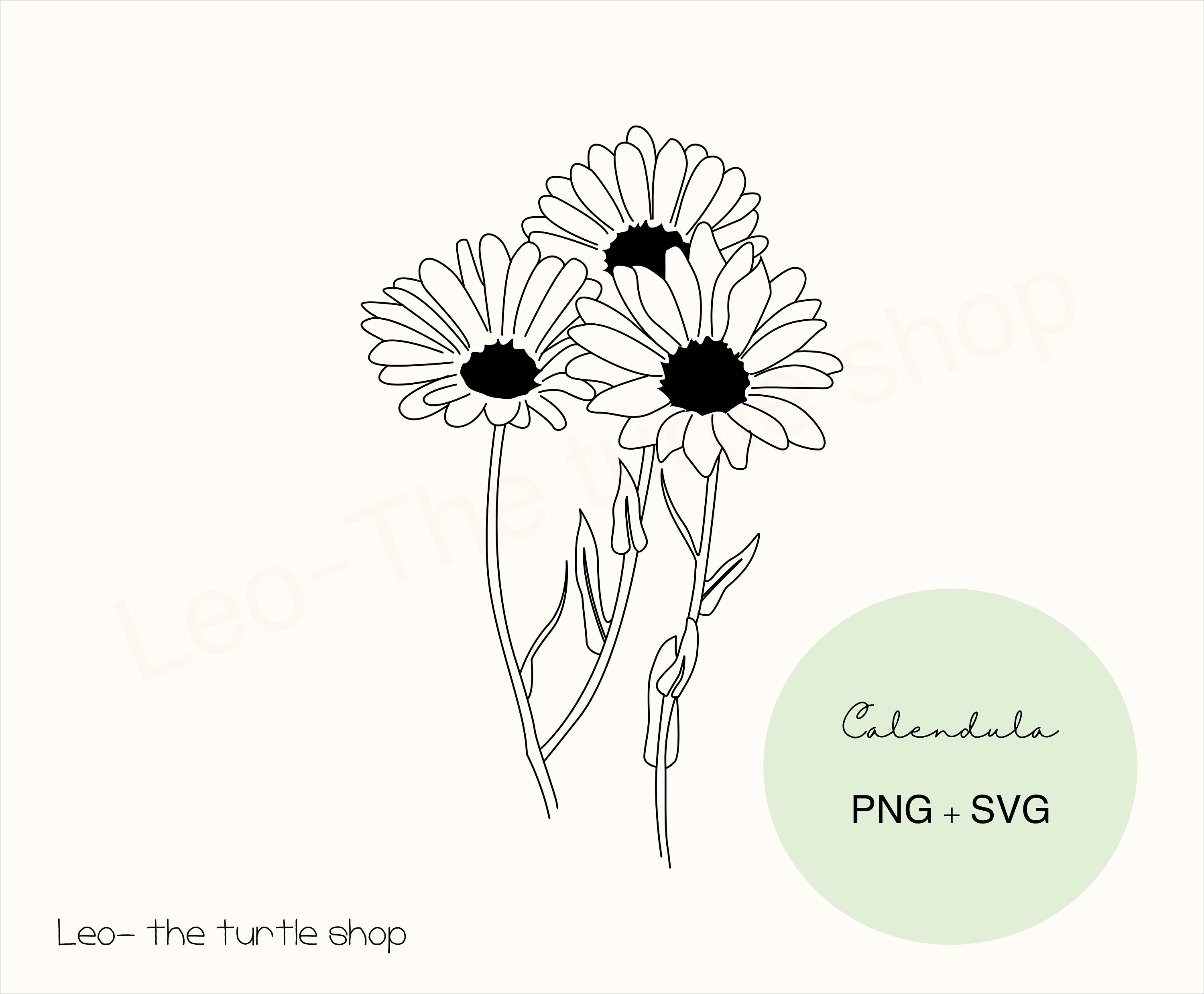 Calendula Plant Lineart - PNG / SVG | Digital Download | Plant Clipart ...