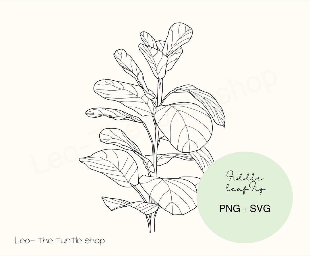 Fiddle Leaf Fig Lineart - PNG / SVG | Digital Download | Plant Clipart ...