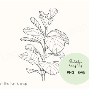 Fiddle Leaf Fig Lineart - PNG / SVG | Digital Download | Plant Clipart ...