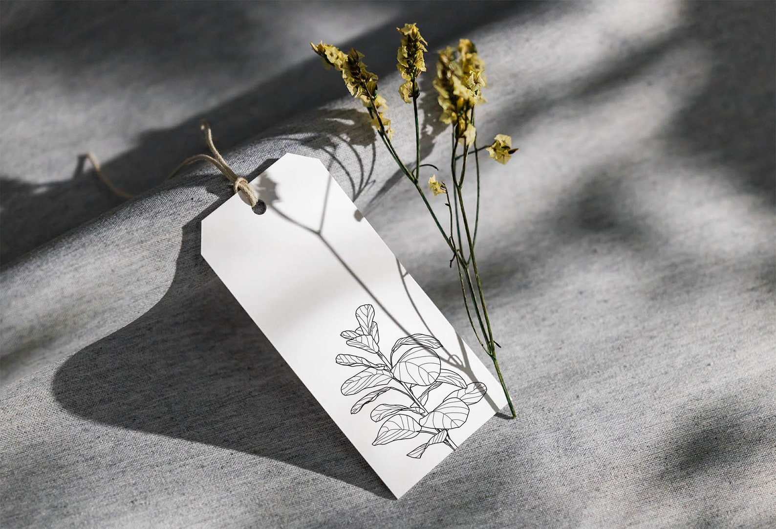 Fiddle Leaf Fig Lineart - PNG / SVG | Digital Download | Plant Clipart ...