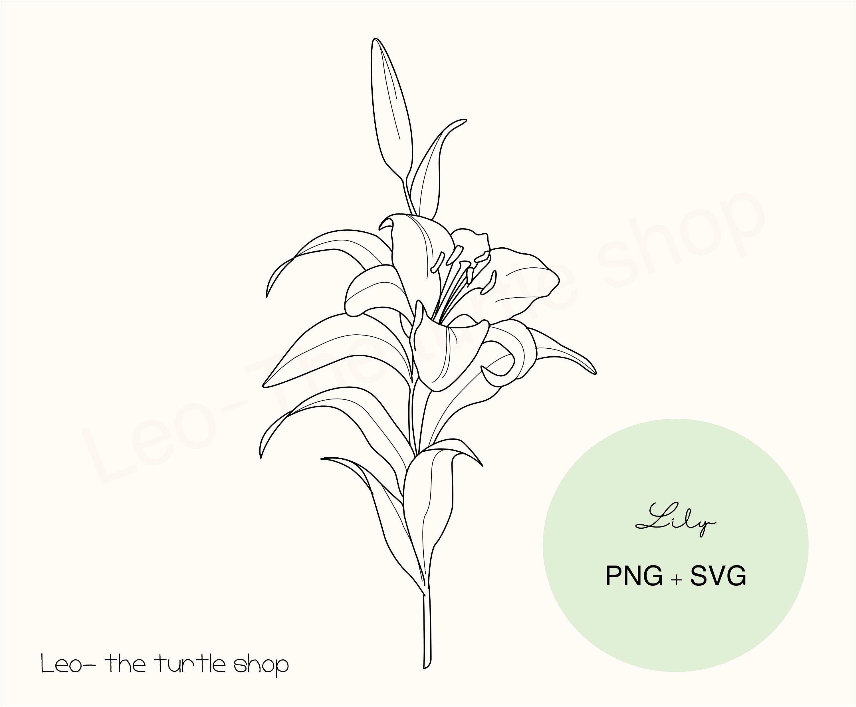 Lily Lineart - PNG / SVG | Digital Download | Lilies Plant Clipart ...