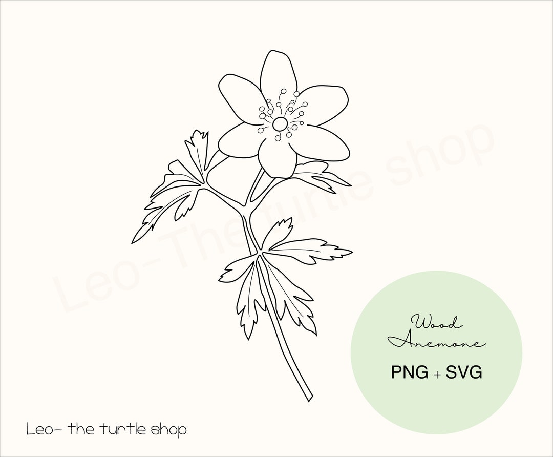 Wood Anemone Plant Lineart - PNG / SVG | Digital Download | Plant ...