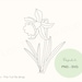 Daffodil Line Art: Botanical PNG SVG Clipart (digital Download) - Etsy
