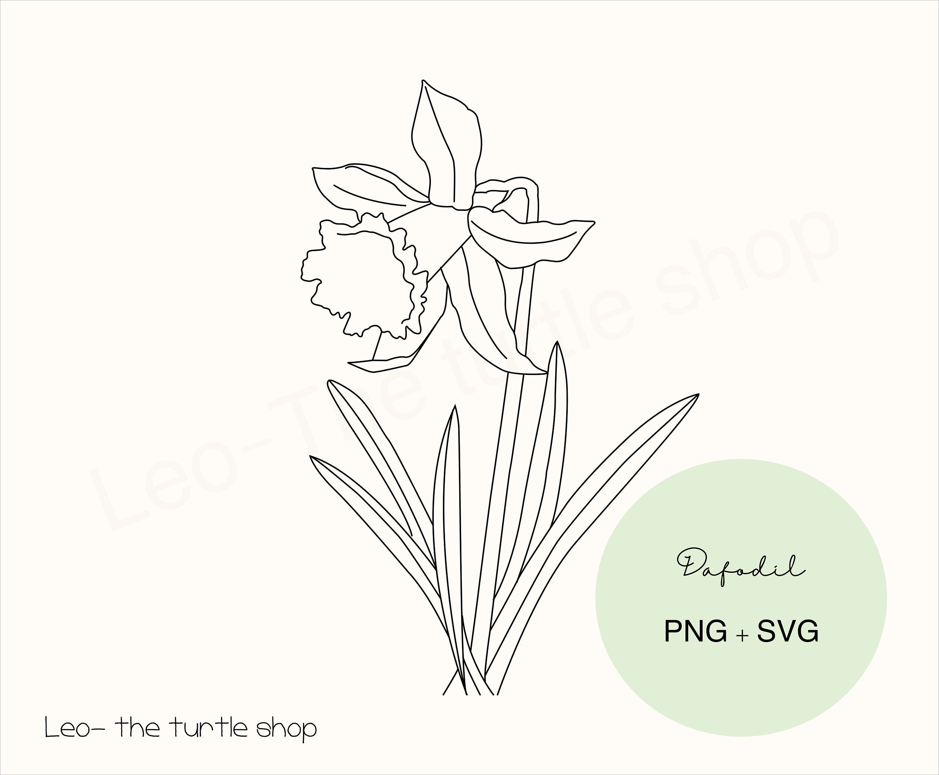 Daffodil Line Art: Botanical PNG SVG Clipart (digital Download) - Etsy