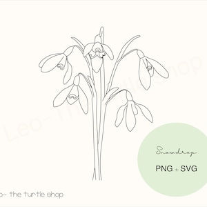 Snowdrop Plant Lineart - PNG / SVG | Digital Download | Plant Clipart ...