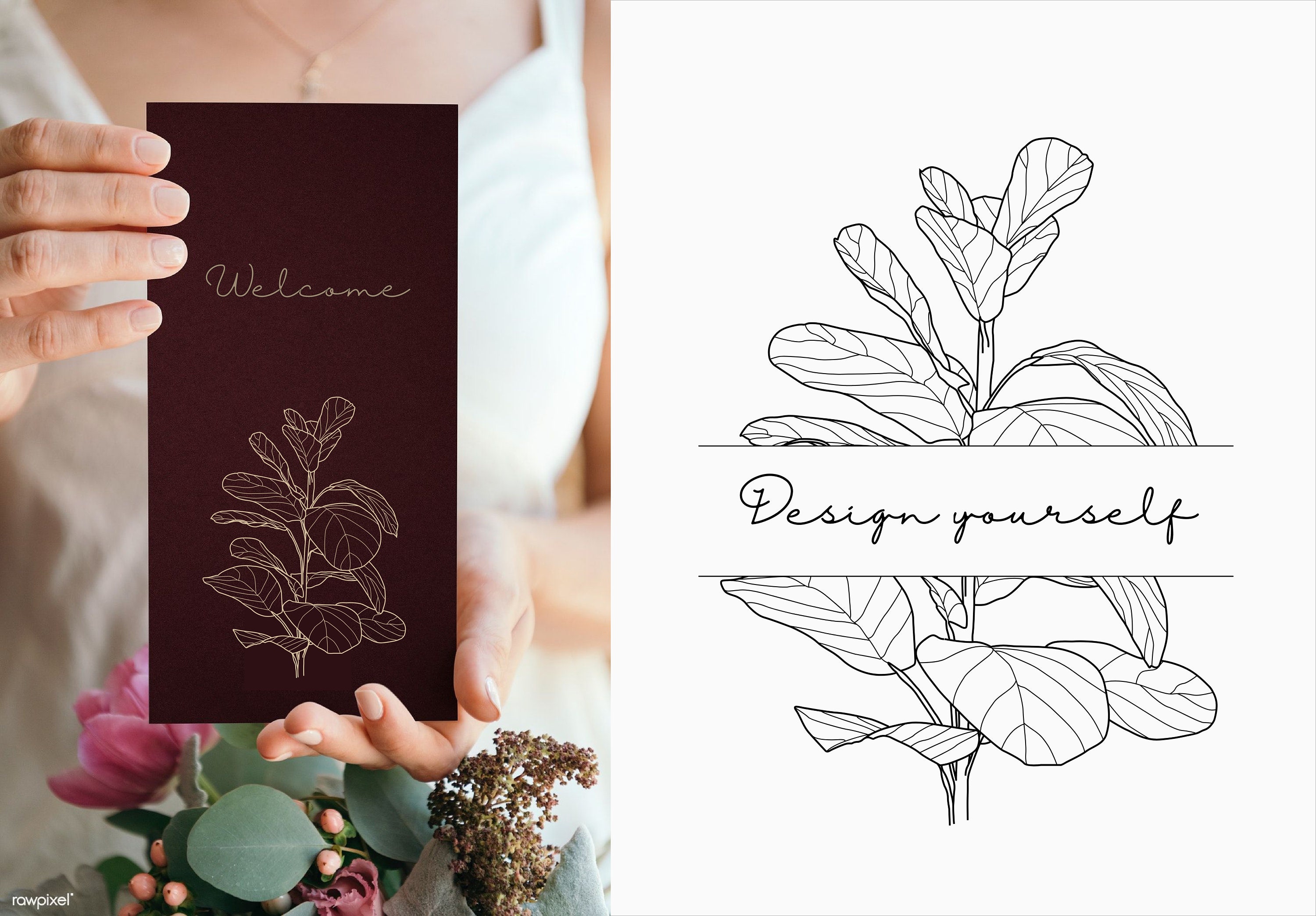 Fiddle Leaf Fig Lineart - PNG / SVG | Digital Download | Plant Clipart ...