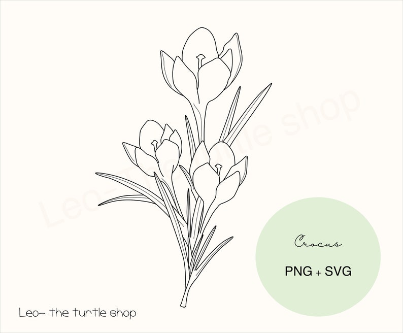 Crocus Flower Lineart PNG / SVG | Digital Download | Plant Clipart ...