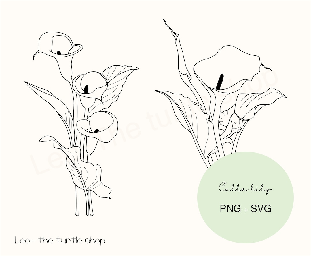 Calla Lily Lineart - PNG / SVG | Digital Download | Plant Clipart ...