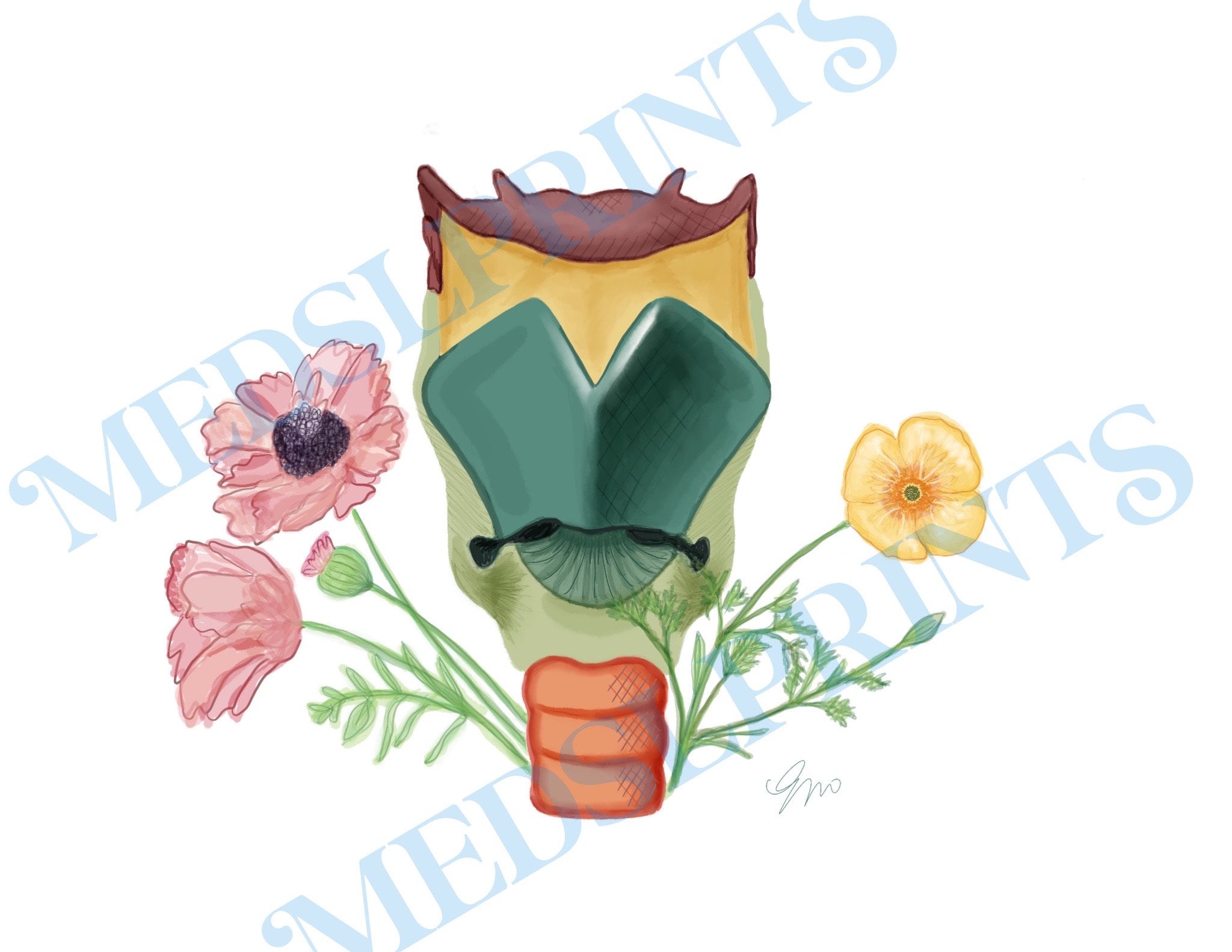 Digital TRANSPARENCY of Larynx & Florals Original Drawing of Colorful ...