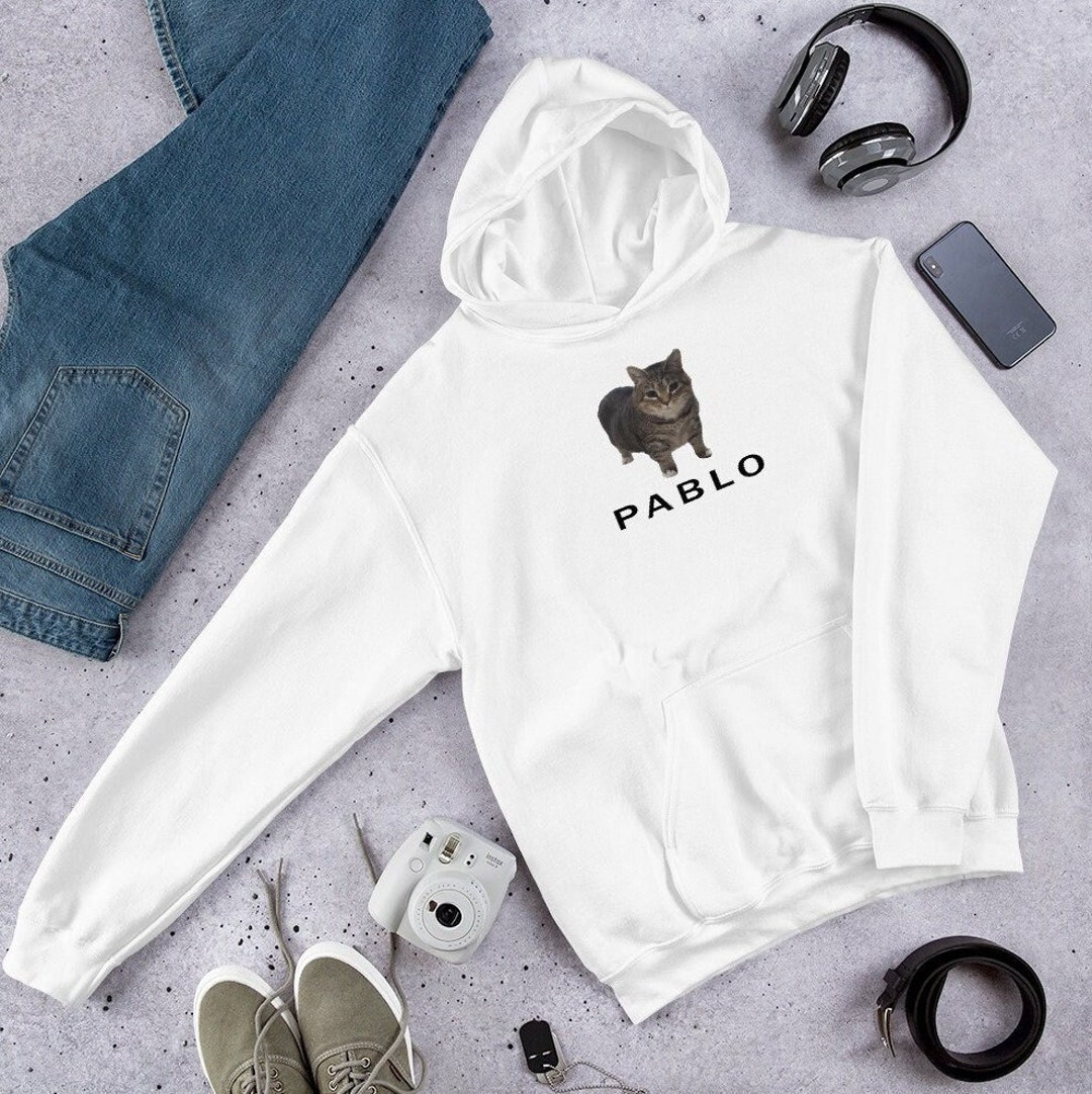 Pablo Cat Hoodie, Cat Meme Hoodie, Stupid Meme Hoodie, Funny Cat ...