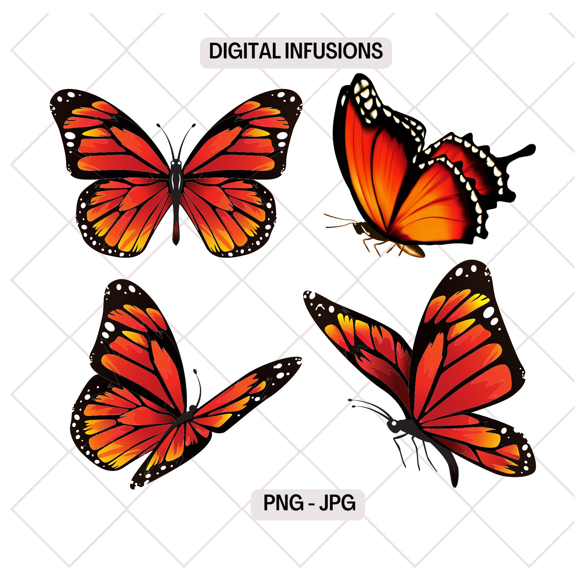 Monarch Butterfly Flying Clipart