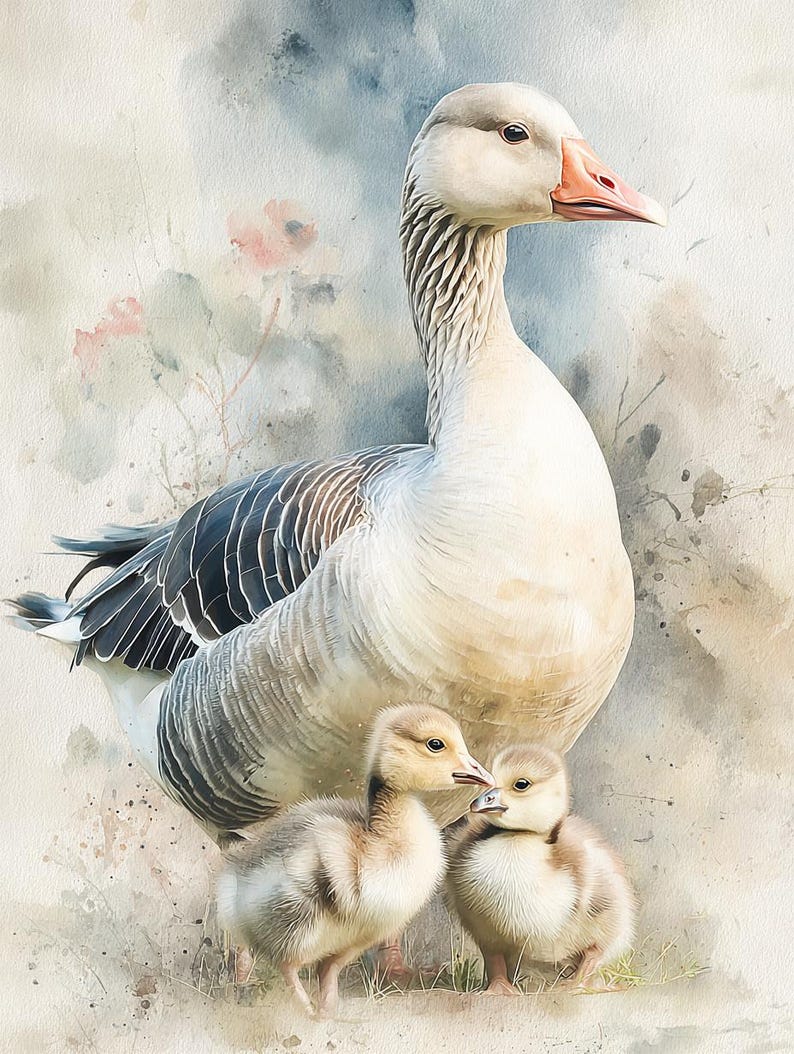 Mother Goose and Goslings PNG Images, Spring Farm (digital Download) - Etsy