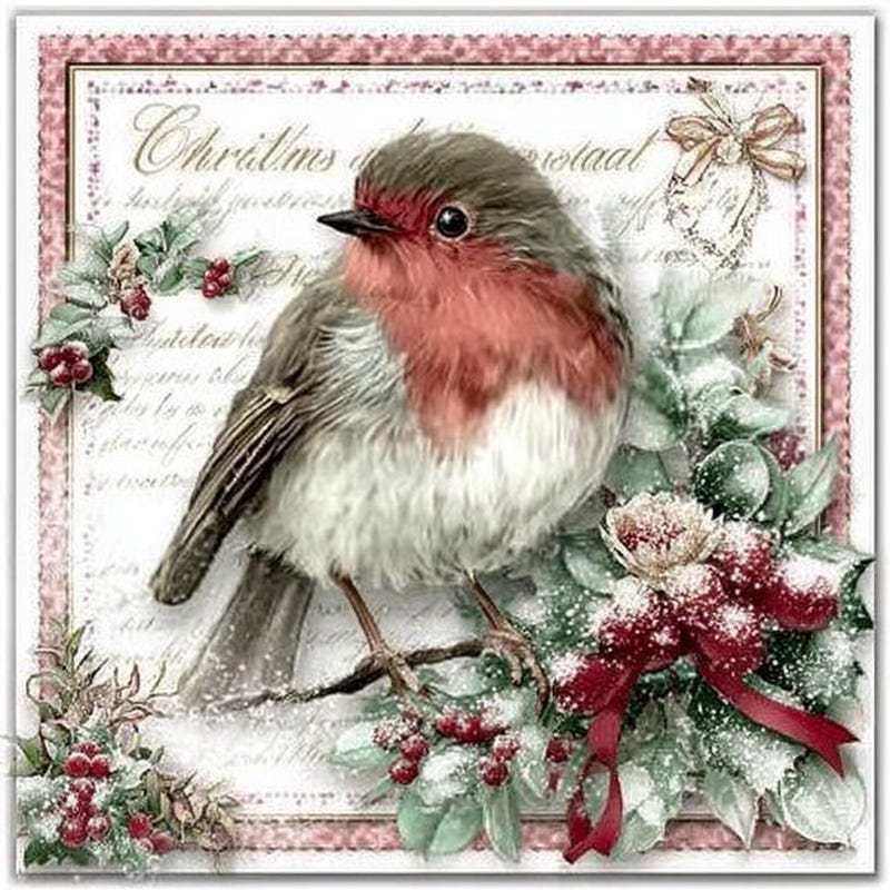 Robin & Holly Png - Etsy
