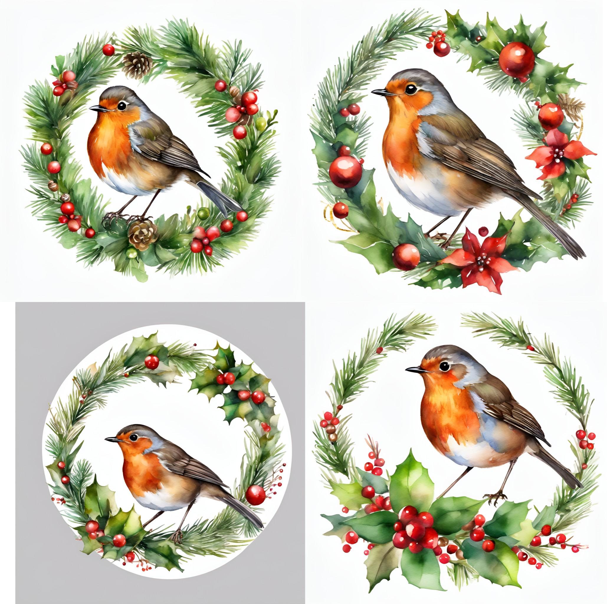 20 Cute Winter Robin Clipart - 20 High Quality Pgns Digital Download ...