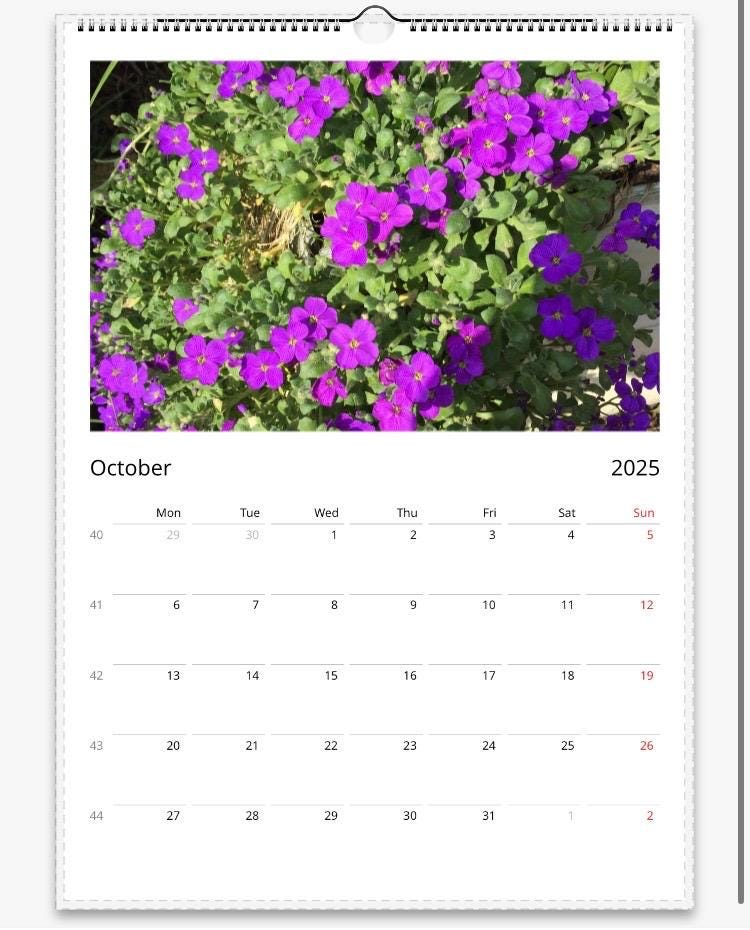 2025 Tulip Calendar Colourful Wall Calendar Coastal Beach Sea Ocean ...