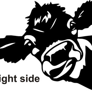 Peeking Cow Heifer Decal * Left or Right * Car/window Decal * Tumbler ...
