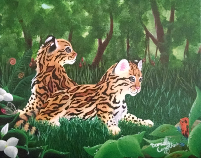 Wildlife Ocelot Limited Edition Print for Wildlife Big Cat Lovers Home ...