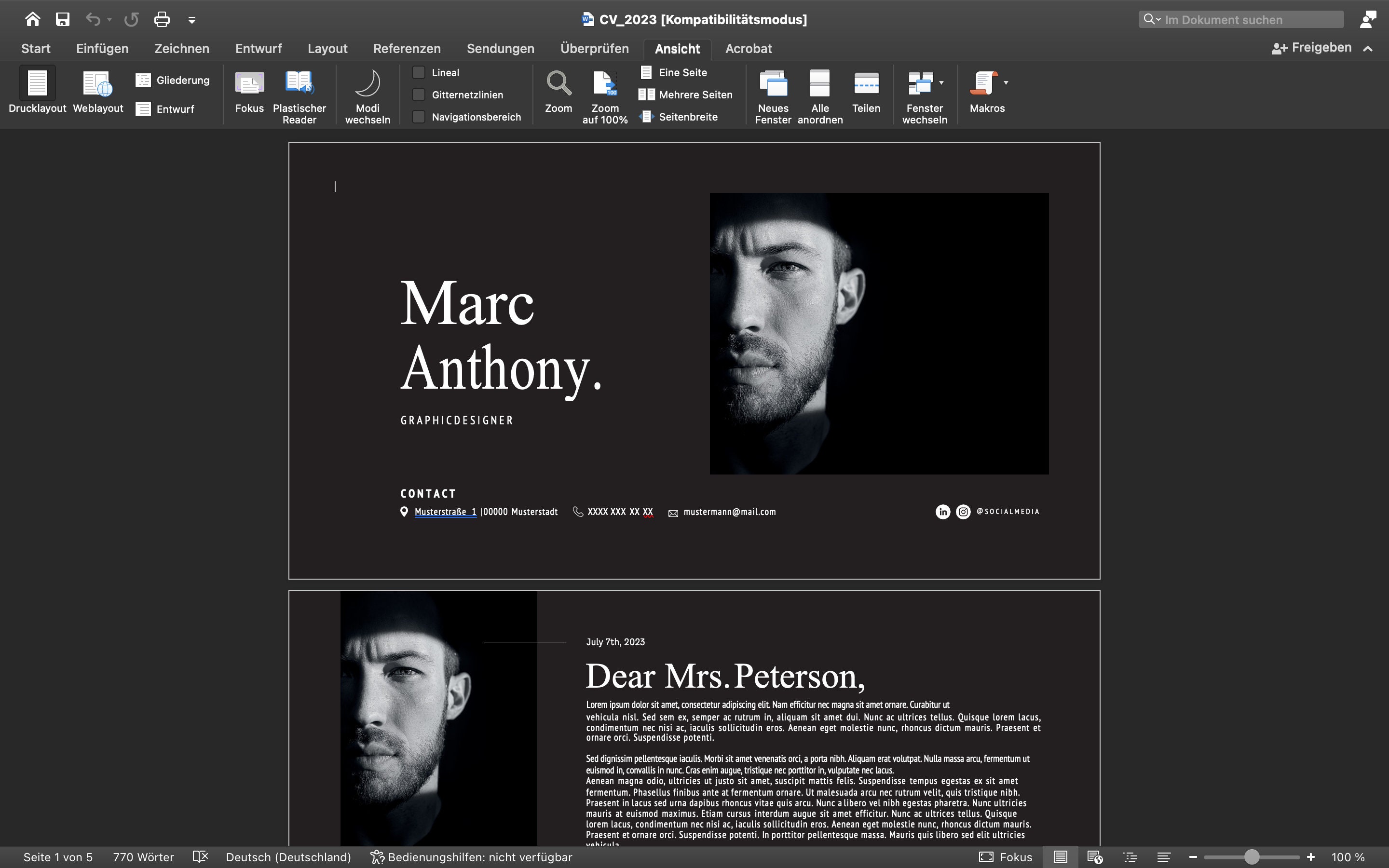 CV Template, Professional Application Template, Application Template ...