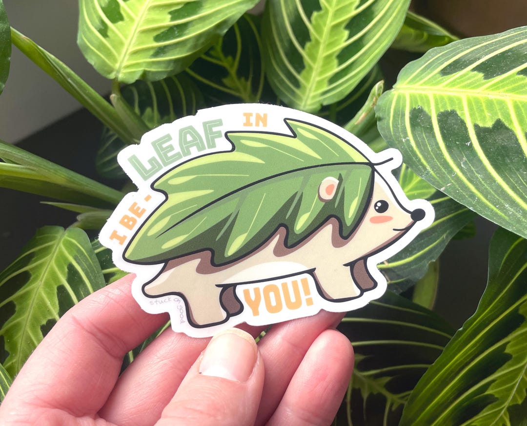 Cute Hedgehog Sticker | I Believe in You | Motivational Decal | Animal ...