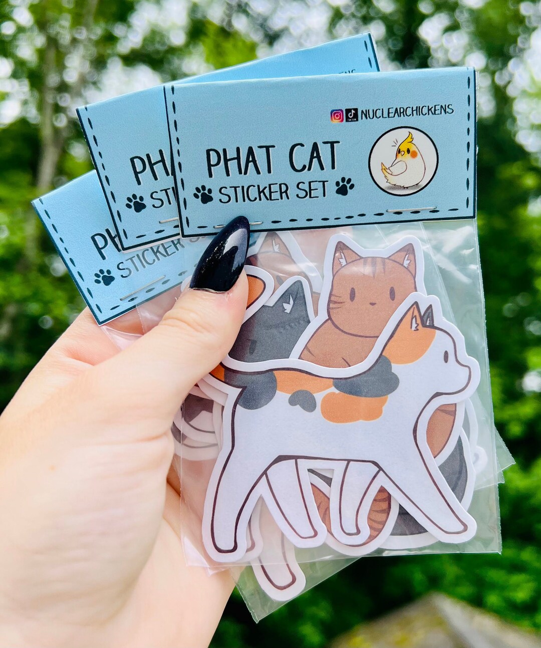 Cute Cat Sticker Pack | Phat Cat Sticker Set | Cat Stickers - Etsy