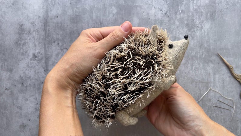 Hedgehog Sewing Pattern: Life-size Plush Family DIY (PDF + Video ...