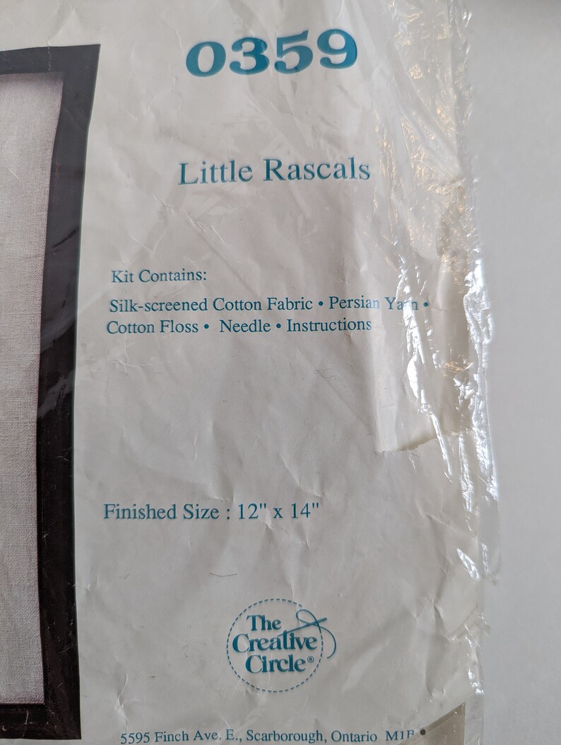 Little Rascals Embroidery Kit, Beginner DIY Crewel, Persian Wool ...