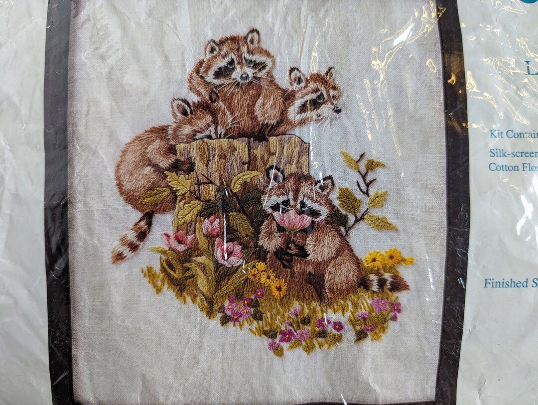 Little Rascals Embroidery Kit, Beginner DIY Crewel, Persian Wool ...