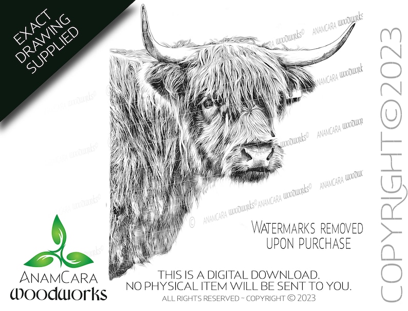 Highland Cow Side Hand Drawn Illustration Grayscale Raster PNG Laser ...
